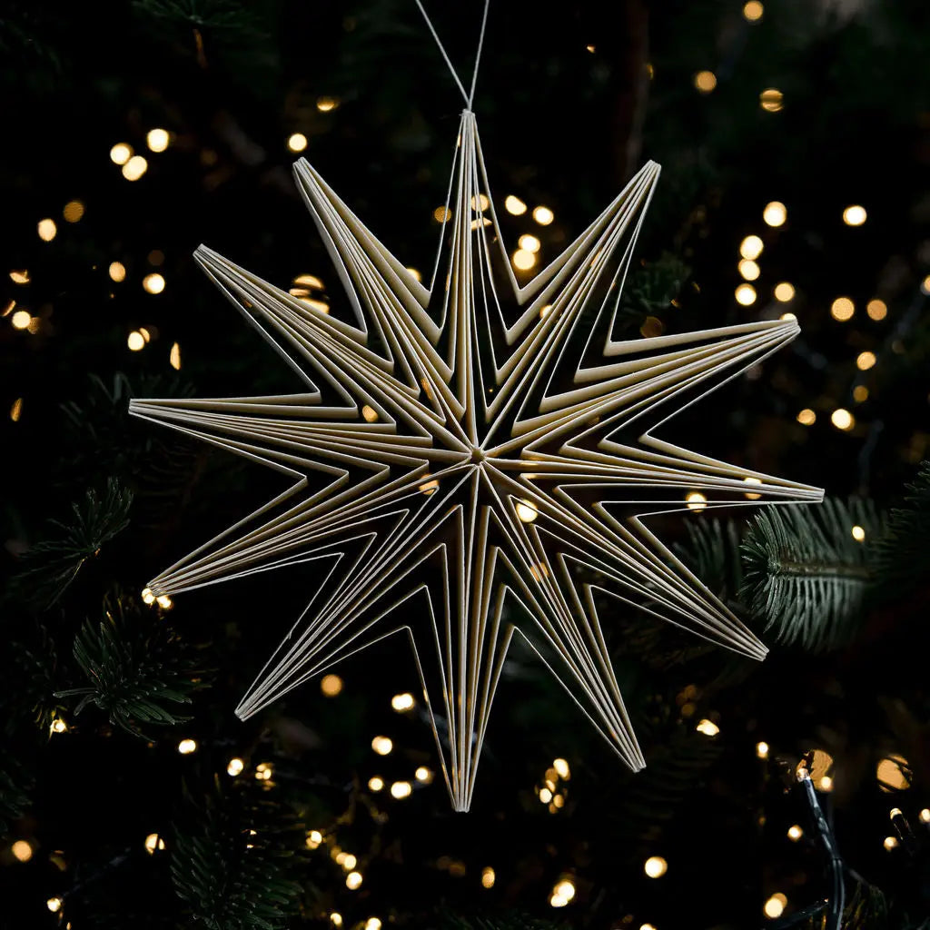 BWC* White Paper Giant Hanging Star – Rancho Diaz