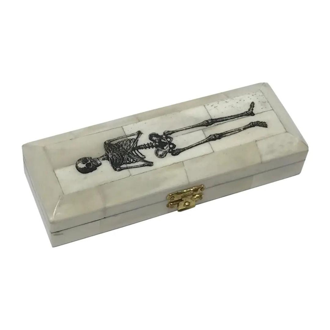 MBC Skeleton Ox Bone Box – Rancho Diaz